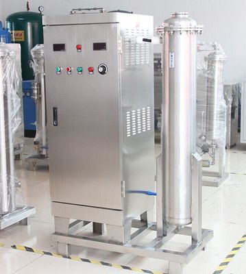 High efficiency 300G/h food ozonizer,ozonizer for food