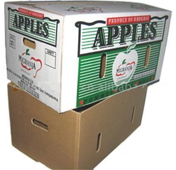 Apple Carton Box with Lid Perforated Carton Box for Fruit Packaging