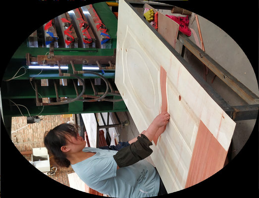 2.7mm,3mm Teak Veneer PLYWOOD Door Skin/Teak Veneer Moulded PLYWOOD door skin supplier