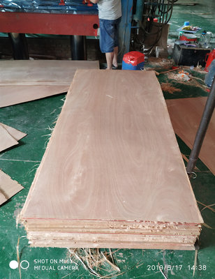 2.7mm,3mm Teak Veneer PLYWOOD Door Skin/Teak Veneer Moulded PLYWOOD door skin supplier
