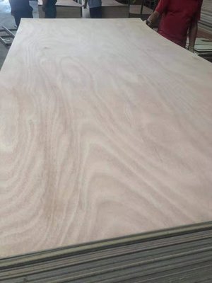 wholesale 3.5mm 5.5mm 6.5mm 8.5mm best price commercial plywood supplier