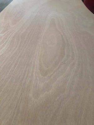 wholesale 3.5mm 5.5mm 6.5mm 8.5mm best price commercial plywood supplier