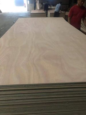 wholesale 3.5mm 5.5mm 6.5mm 8.5mm best price commercial plywood supplier