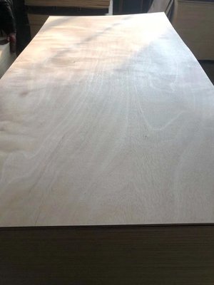 18mm Okoume Commercial Plywood Sheets/Bintangor Veneer Fancy plywood supplier