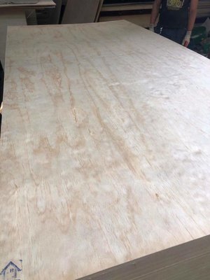 Uv Pine Veneer Laminated Plywood, Cabinet Grade Pine Plywood, UV Coated Pine Face Veneer Panel for Furniture supplier