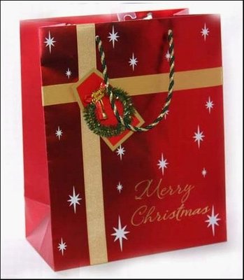 reusable grocery shopping bags    Custom Luxury Gift Garment Paper Shopping Bags With Logo Print