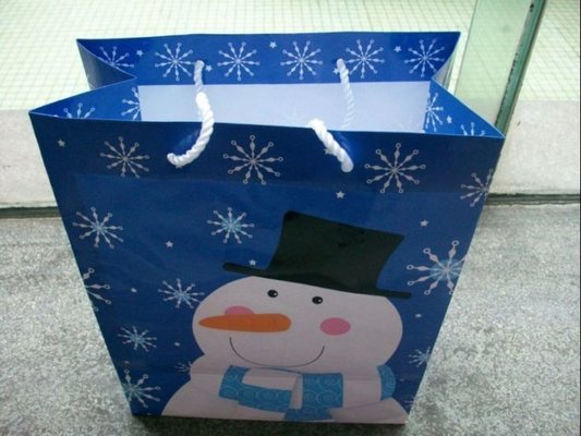 Custom Luxury Gift Garment Paper Shopping Bags With Logo Print