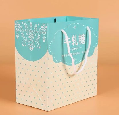 Custom Luxury Gift Garment Paper Shopping Bags With Logo Print