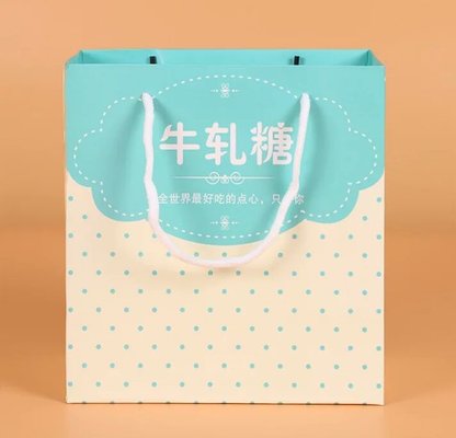 Custom Luxury Gift Garment Paper Shopping Bags With Logo Print