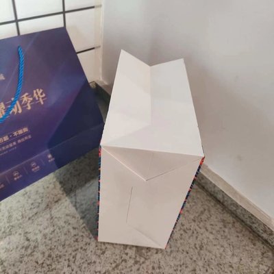 Custom Luxury Gift Garment Paper Shopping Bags With Logo Print