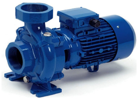Piston Self Suction Pump , Low Pressure Centrifugal Water Stainless Steel Pumps