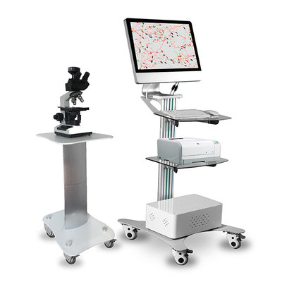 China CASA Sperm Analyzer System For Male Infertility Reproductive Clinics supplier
