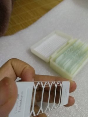 Disposable Counting Chamber Slide With Leja Makler Slide For Semen Analysis supplier