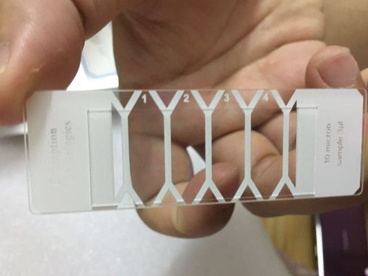 Leja Counting Slide For Human Semen Analysis With 4 8 10 Counting Chamber supplier