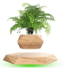 Levitating Air Bonsai Pot - Magnetic Levitation Suspension flower