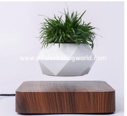 factory manufacture flyte magnetic levitation floating air bonsai plant tree pot
