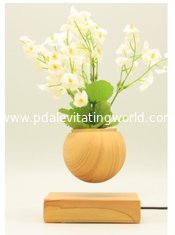 magnetic levitation vase air bonsai ,floating plant flowerpot
