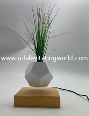 360 rotating little star magnetic levitation Suspension air bonsai vase plant tree flyte