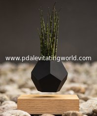 Levitating Plant Pot & Base ,magnetic floating air bonsai flowerpot for gift decoration