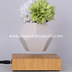 magnetic suspension air bonsai, flying plant ,levitation flower pot