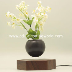 new hotsale magnetic levitation flying air bonsai plant with can customize logo and packing box