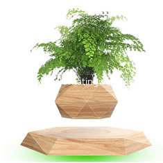 new hotsale magnetic levitation floating bottom air bonsai plant tree flowerpot