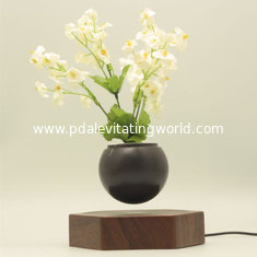 wooden base creative magnetic levitation floating air bonsai plant tree flowerpotted for gift