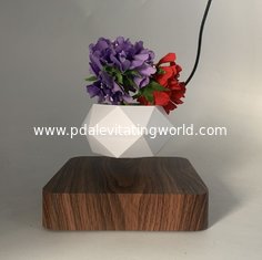 new hotsale magnetic levitation floating bottom air bonsai plant tree pot