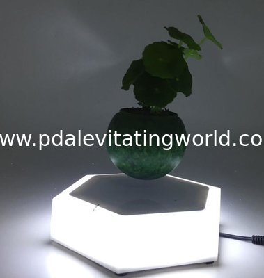new christmas gift magnetic floating levitation air bonsai potted plant trees