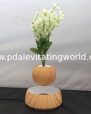 360 rotating wooden  magnetic floating levitatING air bonsai tree plant for decor gift