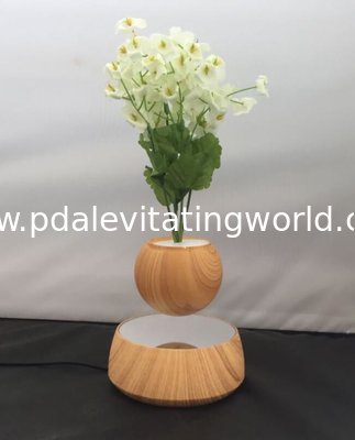 360 rotating wooden  magnetic floating levitatING air bonsai tree plant for decor gift