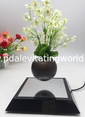 square mirror base magnetic floating levitate air bonsai flower plant