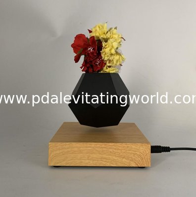 360 rotating little star magnetic levitation Suspension air bonsai vase plant tree flyte