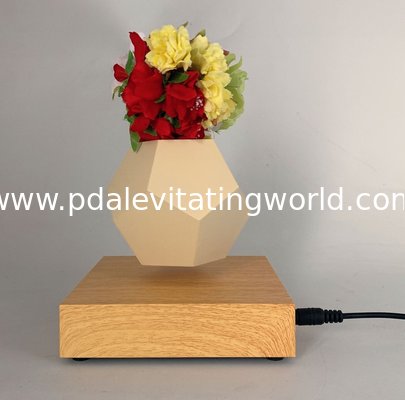 360 rotating little star magnetic levitation Suspension air bonsai vase plant tree flyte