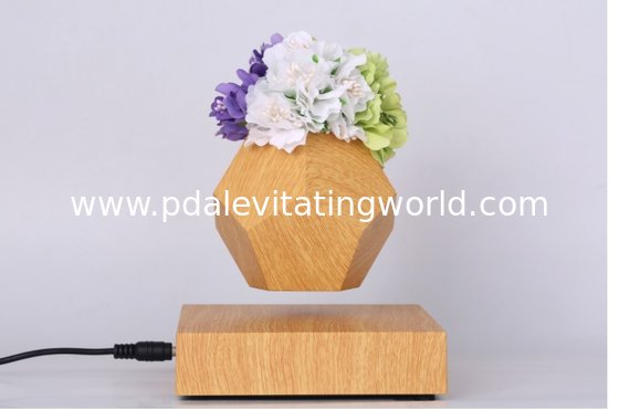 LYFE levitating planter,MAGNETIC levitation air bonsai tree pot plant