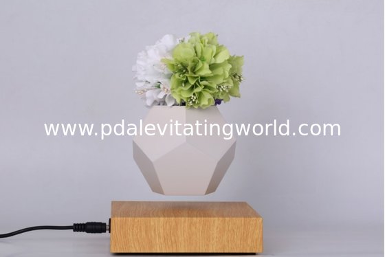 360 rotating little star magnetic levitation Suspension air bonsai vase plant tree flyte