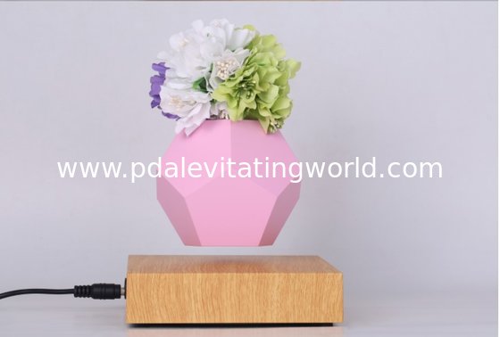 360 rotating little star magnetic levitation Suspension air bonsai vase plant tree flyte