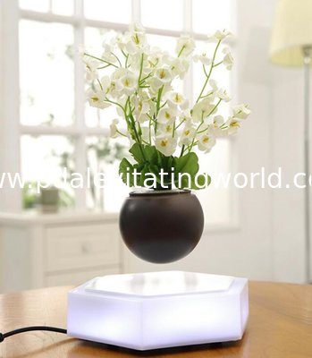 hotsale magnetic levitation floating bottom green pot air bonsai