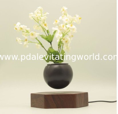 new hotsale magnetic levitation flying air bonsai plant with can customize logo and packing box