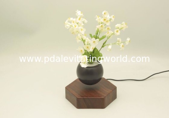 new hotsale magnetic levitation flying air bonsai plant with can customize logo and packing box