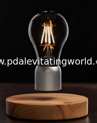 Magnetic Levitating Floating Wireless LED Light Bulb Desk Lamp for Unique Gifts, Room Decor, Night Light