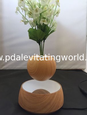 Magnetic Levitation Plant Pots, Potted Plants, AIR BONSAI pot tree