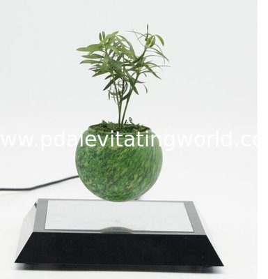 square mirror base magnetic floating levitate air bonsai flower plant