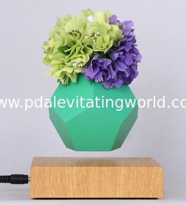 magnetic suspension air bonsai, flying plant ,levitation flower pot