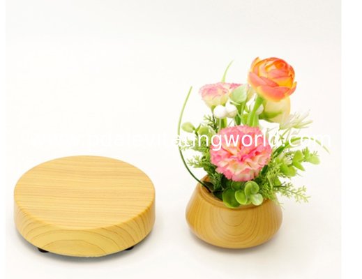 Magnetic Levitation Suspension flower and air bonsai pot PDA factory sale