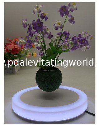colorful led light magnetic levitation floating air bonsai plant tree flowerpotted