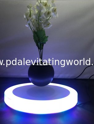colorful led light magnetic levitation floating air bonsai plant tree flowerpotted