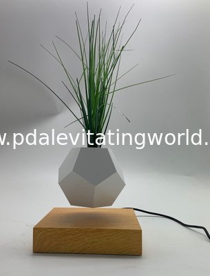 360 rotating little star magnetic levitation Suspension air bonsai vase plant tree flyte