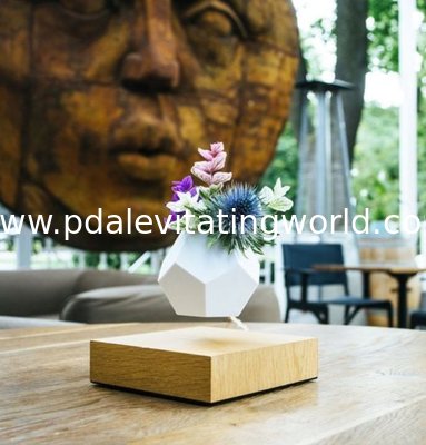 Levitating Plant Pot & Base ,magnetic floating air bonsai flowerpot for gift decoration
