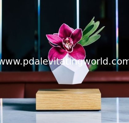 Levitating Plant Pot & Base ,magnetic floating air bonsai flowerpot for gift decoration